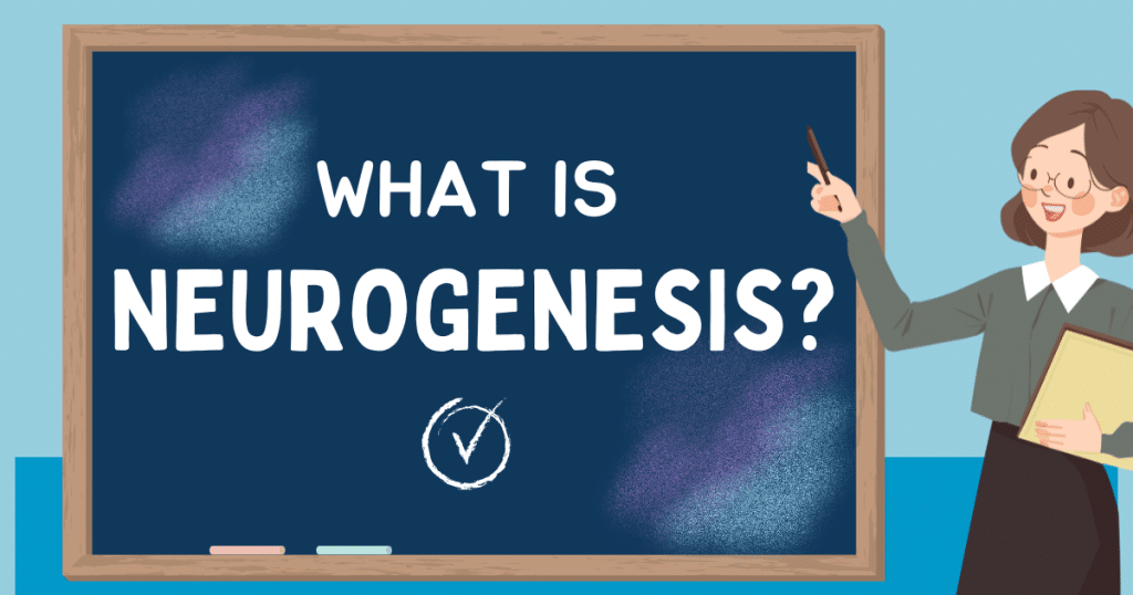 🧠Neuroplasticity And Neurogenesis: How Your Brain Adapts And Grows ...