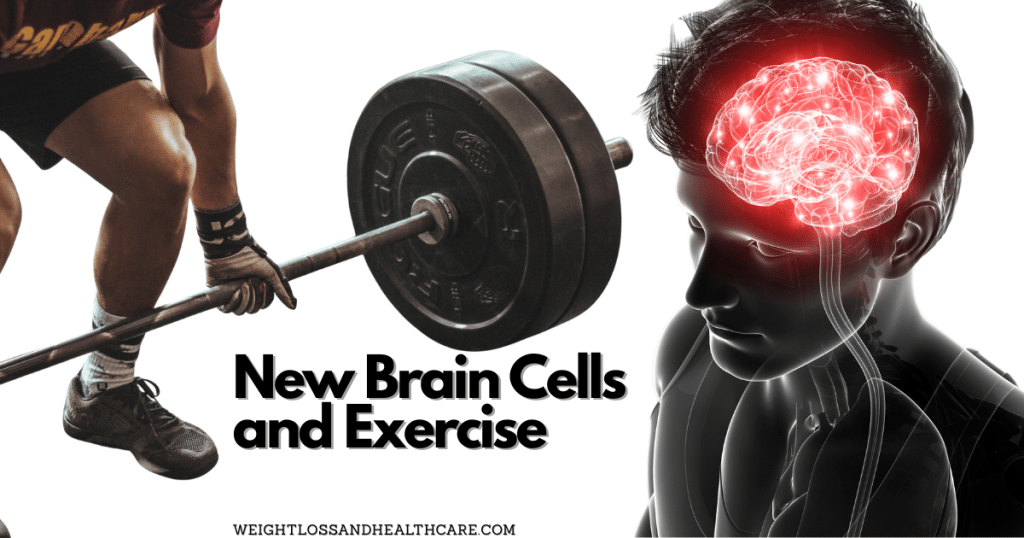 What Is The Best Exercise To Increase Brain Cells?