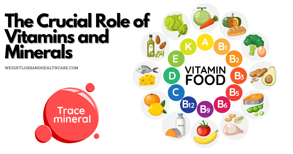Why Are Vitamins And Minerals Important To The Body?